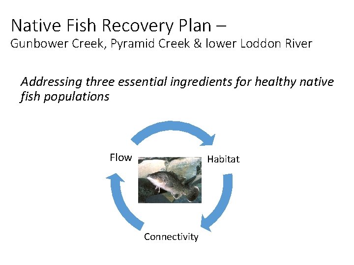Place your logo here Flows habitat connectivity and