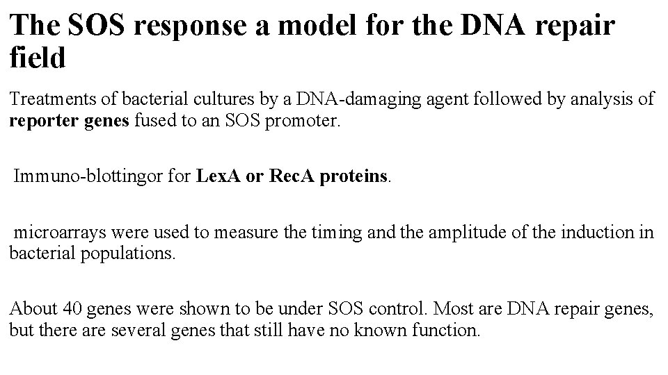 After 30 Years of Study the Bacterial SOS