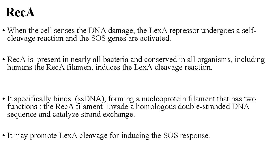 After 30 Years of Study the Bacterial SOS