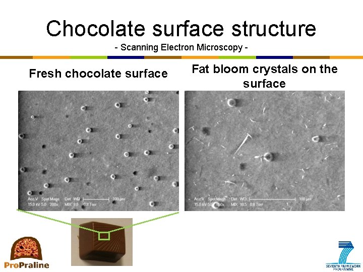 The process of fat bloom formation in pralines