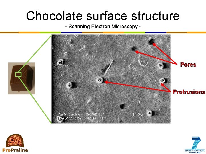The process of fat bloom formation in pralines