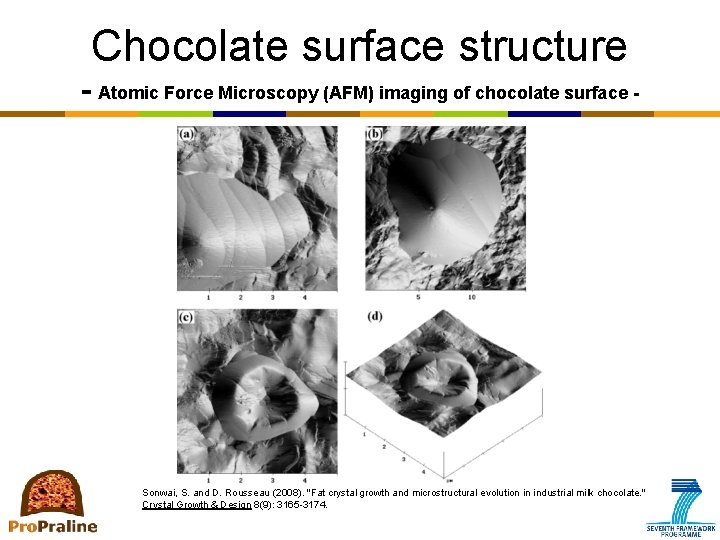 The process of fat bloom formation in pralines