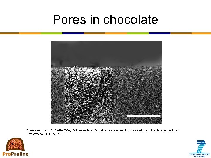 The process of fat bloom formation in pralines