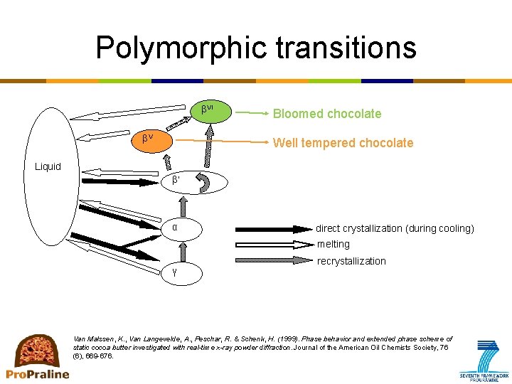 The process of fat bloom formation in pralines