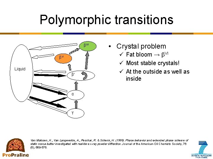 The process of fat bloom formation in pralines