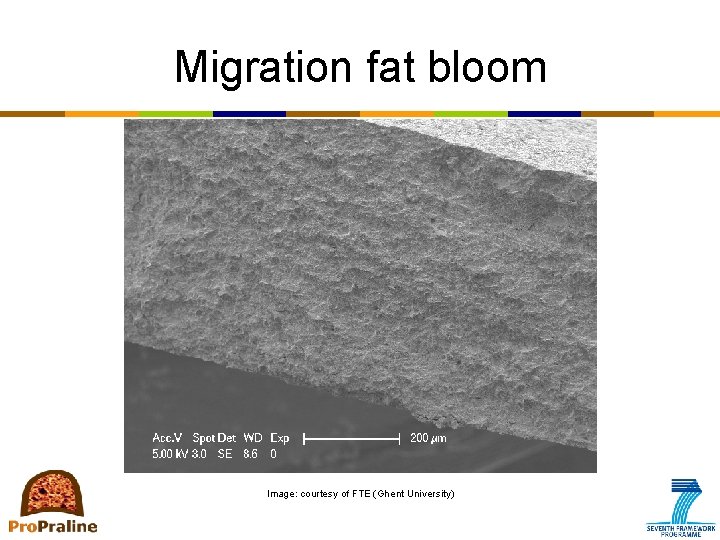 The process of fat bloom formation in pralines