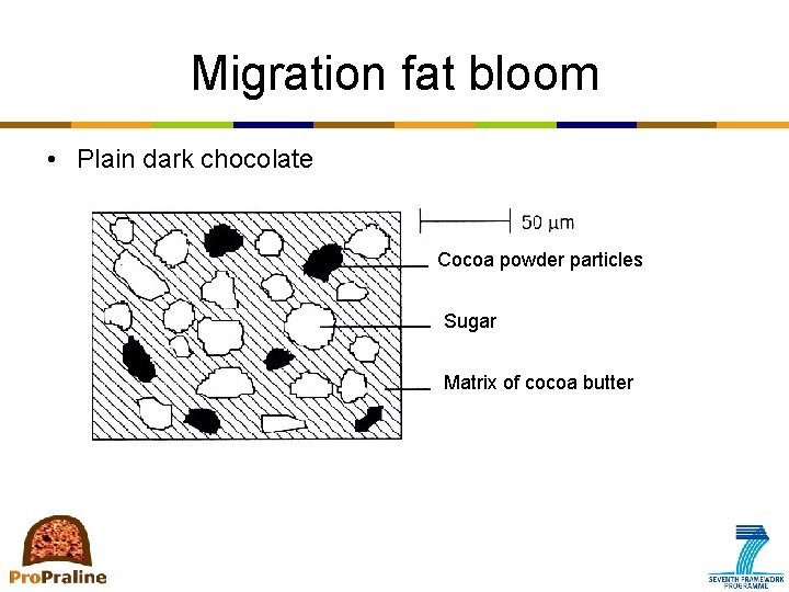 The process of fat bloom formation in pralines