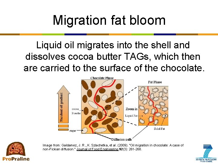 The process of fat bloom formation in pralines