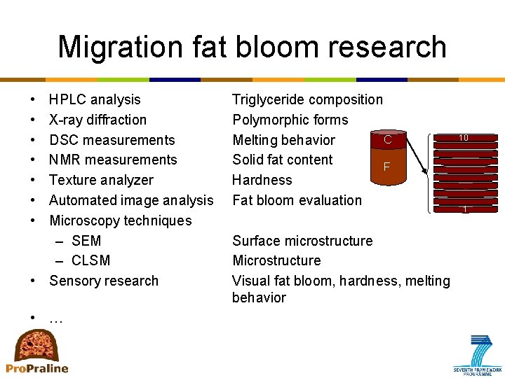 The process of fat bloom formation in pralines