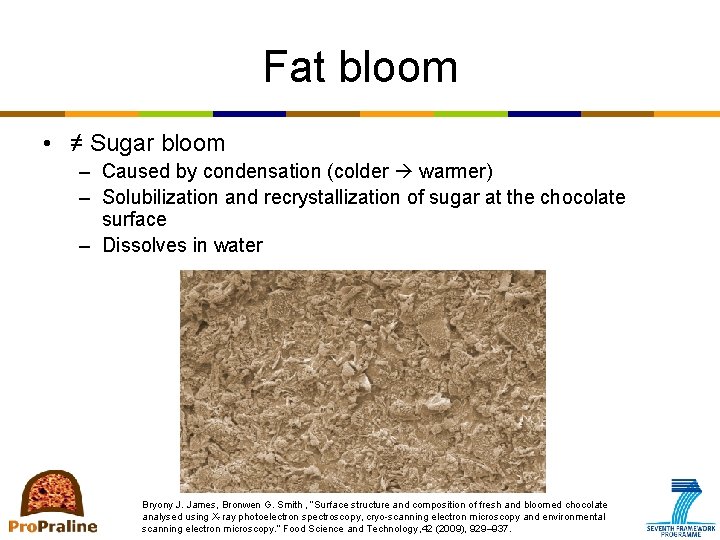 The process of fat bloom formation in pralines