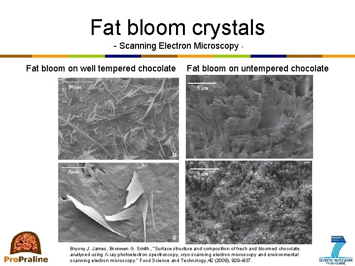 The process of fat bloom formation in pralines