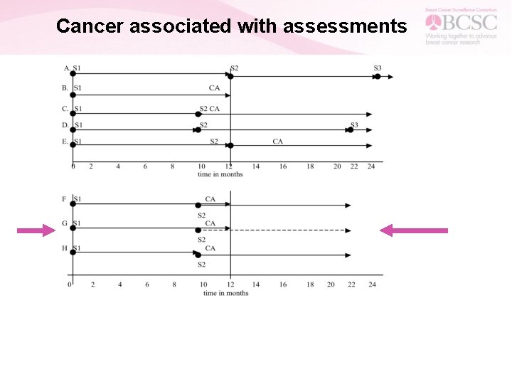 Understanding Factors That Affect Mammography Performance Contribution of