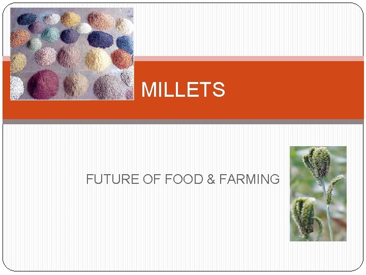 MILLETS FUTURE OF FOOD FARMING Water requirement Rainfall