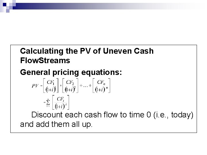 Chapter 8 Net Present Value and Other Investment