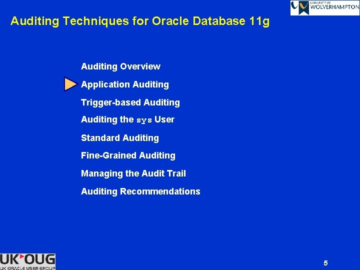 Auditing Techniques for Oracle Database 11 g Carl