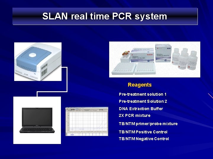 Real time PCR Taqman Probe 1 5 reporter