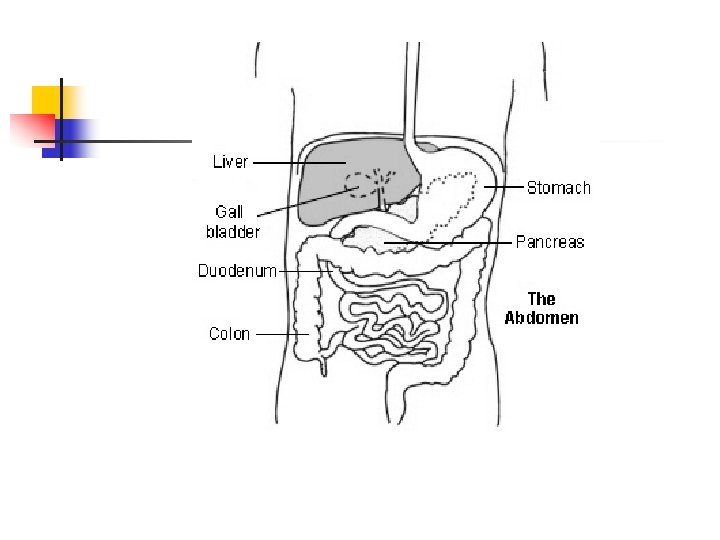 Cystic Fibrosis By Paul Mc Laughlin What is