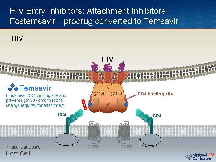 Fostemsavir Rukobia Prepared by David H Spach MD