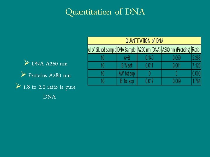 BIO 208 NUCLEIC ACID METHODS Stephanie Schumaker Objective