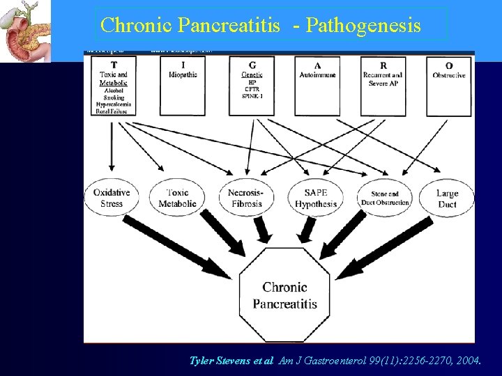 Chronic Pancreatitis Management Strategies Dr Vidhyachandra Gandhi DNB
