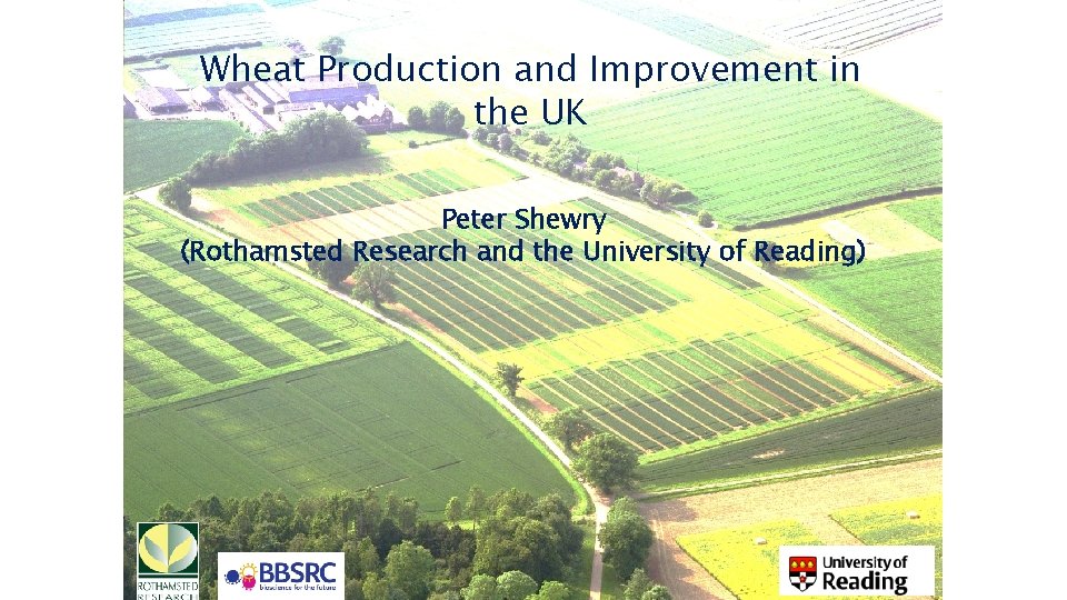 Wheat Production and Improvement in the UK Peter