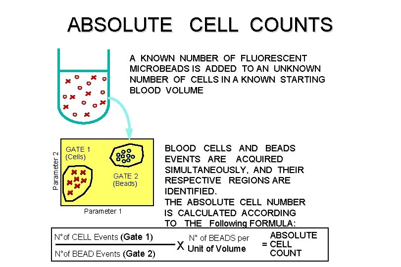 Hematopoietic StemProgenitor Cells CFC Assays Immunophenotype C CarloStella