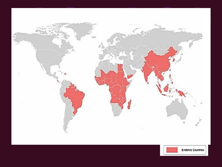 ELEPHANTIASIS Lymphatic filariasis By Shantanu Pisharoty Shireen Gupta
