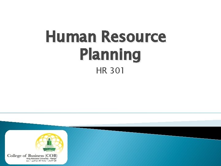 Human Resource Planning HR 301 Chapter Learning Objectives