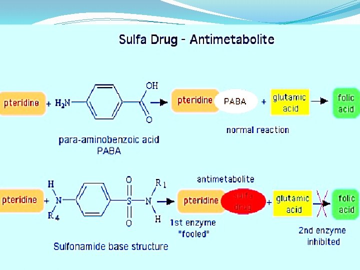 Pharmaceutical chemistry Antibacterial Antibiotics Sulfonamides Assist ...