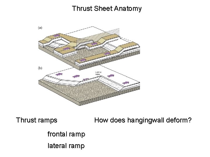 Outline Terminology Ramp and Flat thrusts Animations Class