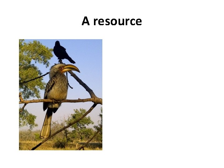 OER Africa Utilising Open Educational Resources OER in