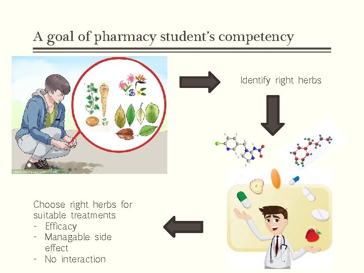 Department of Pharmacognosy and Pharmaceutical Botany Faculty of