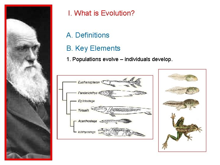 BIO 440 Population Genetics and Evolution I What