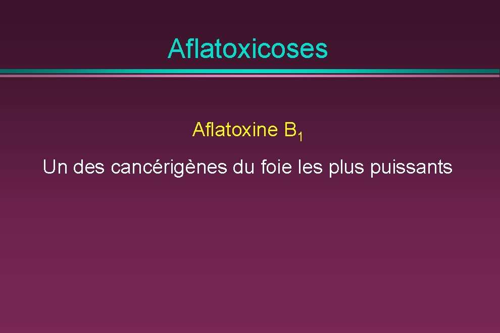 Travaux pratiques de mycologie Veronica RODRIGUEZNAVA Aymeric MENARD