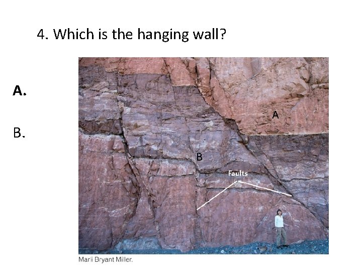 Chapter 7 1 At what type of plate