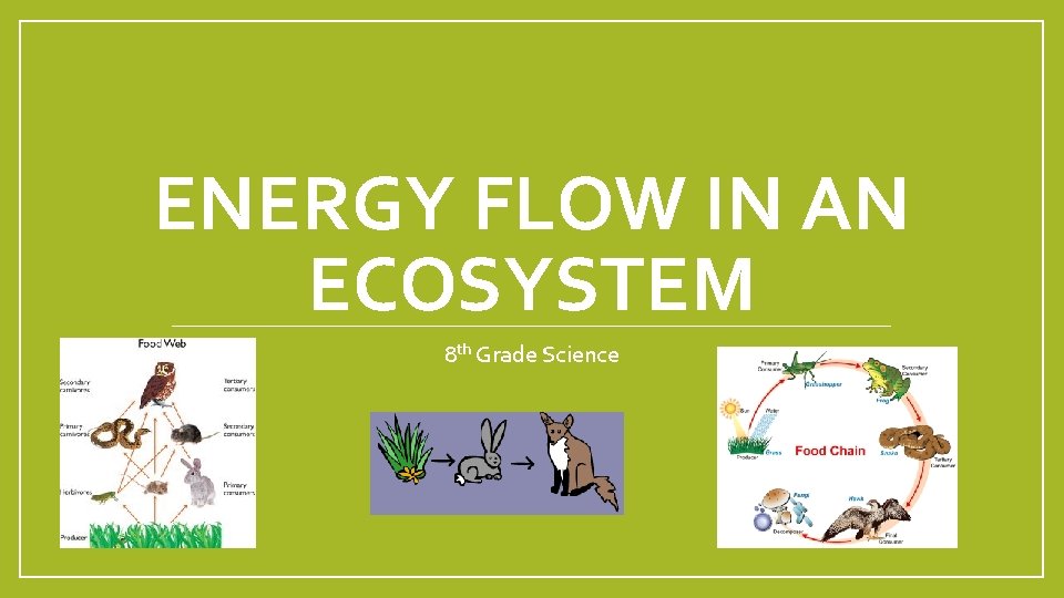 ENERGY FLOW IN AN ECOSYSTEM 8 th Grade