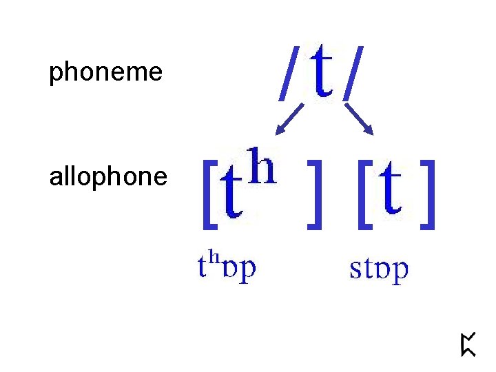 PHONETICS Study of the physical properties of speechsounds