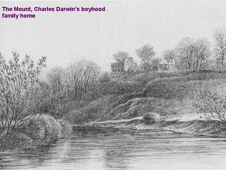 The Mount Charles Darwins boyhood family home Charles