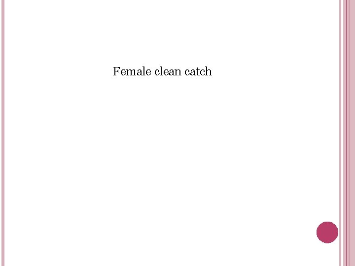 URINE ANALYSIS Dr Ola Samir Ziara Modified by