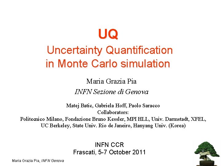 UQ Uncertainty Quantification in Monte Carlo simulation Maria