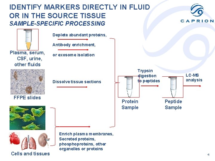 NEW SOLUTIONS FOR HIGHLY MULTIPLEXED PROTEIN ASSAYS VIA