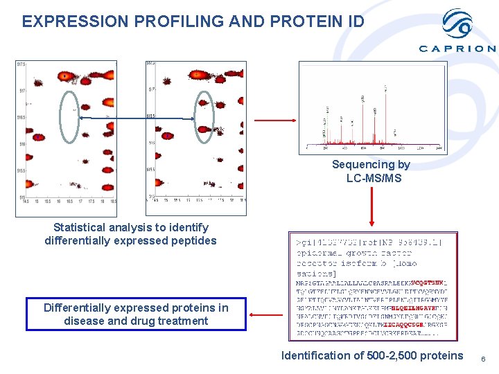 NEW SOLUTIONS FOR HIGHLY MULTIPLEXED PROTEIN ASSAYS VIA