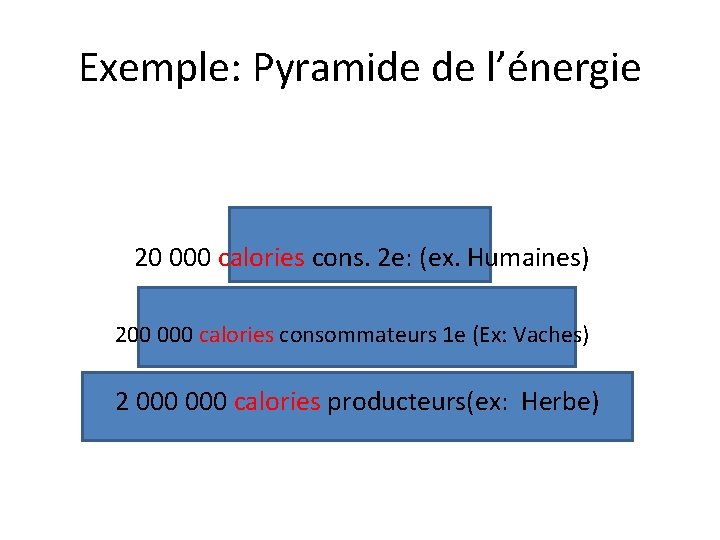 Les pyramides cologiques Les pyramides cologiques www mmesavage