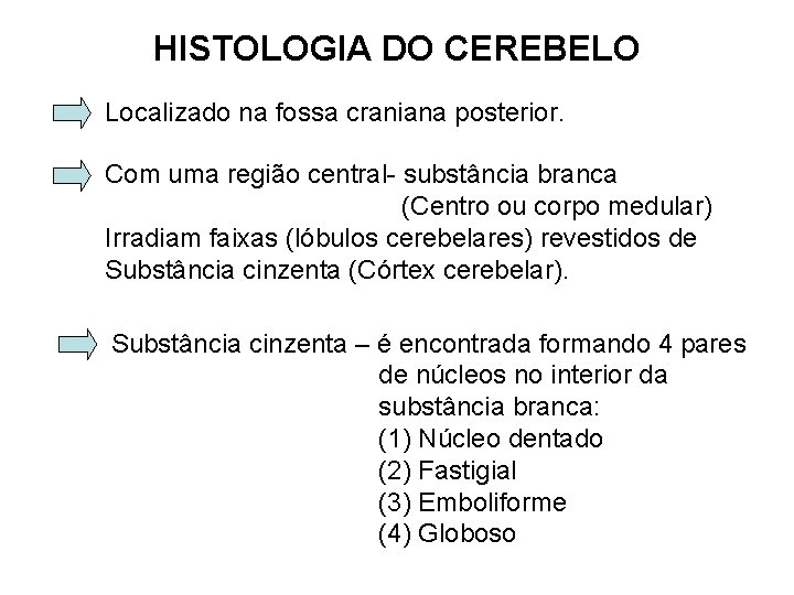 CAPTULO 10 HISTOLOGIA DO TECIDO E SISTEMA NERVOSO