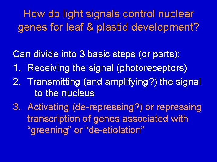 How do light signals control nuclear genes for