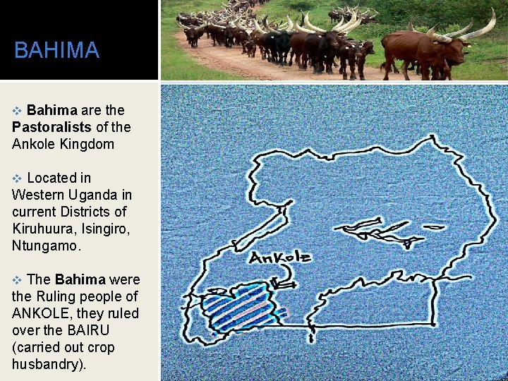 BAHIMA TRADITIONAL HOUSE ANKOLE MUSIIMENTA IAN 11U3937PSA TRIBE