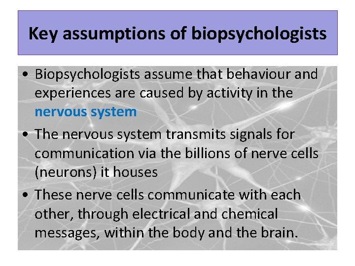 Biopsychology Revision What do you need to know