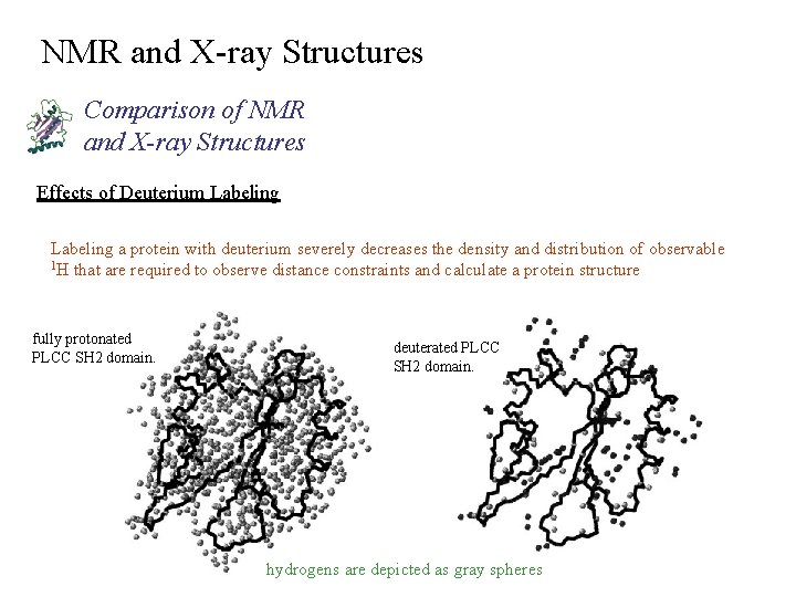NMR and Xray Structures Comparison of NMR and