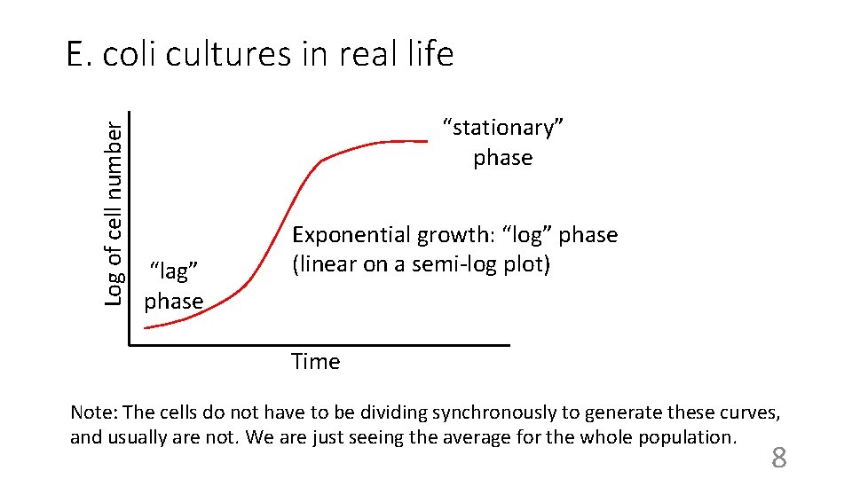 Intro Bio Lecture 2 Announcements Recitations start on