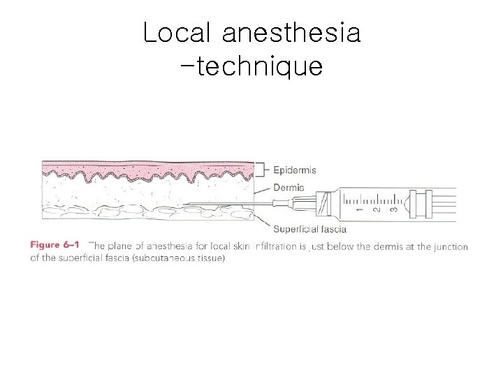 Goals 1 Wound healing pathophysiology 2 Wound evaluation